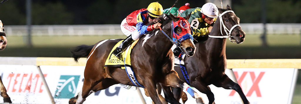 Motorcoach-Racing-Header - Remington Park Racing & Casino