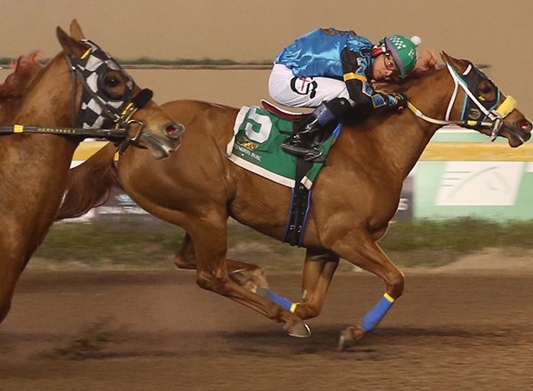 ALLIEKAT DYNASTY RUNS HER WIN STREAK TO SIX IN ROW, TAKING DECKETTA ...