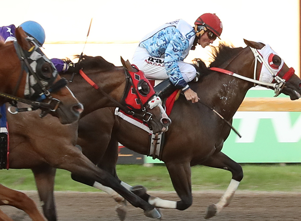 PERRY FAST LIVED UP TO HER NAME, WINNING HERITAGE PLACE JUVENILE AT ...