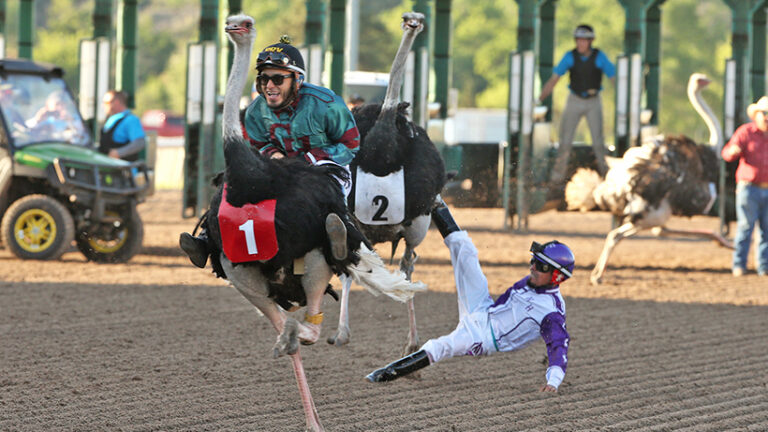 2025-Extreme-Racing-Ostrich_Press - Remington Park Racing & Casino